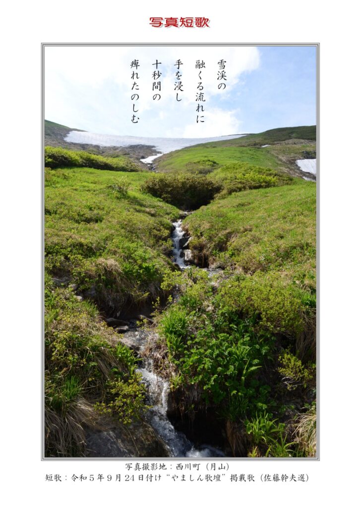 やましん歌壇掲載歌の紹介 – SKソリューションズ