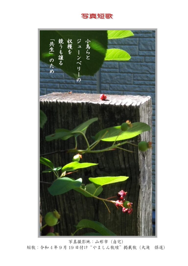 ジューンベリーのジャムづくり – SKソリューションズ